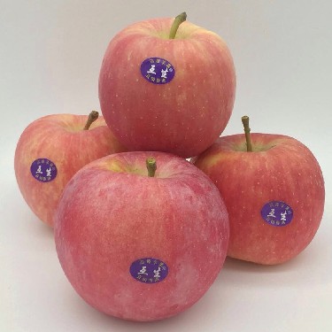 Jacky -Apple Product 傑基苹果 - CTC